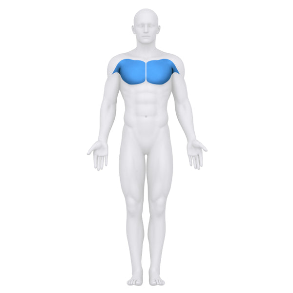 Exercises Set Up – GETFLEXICON